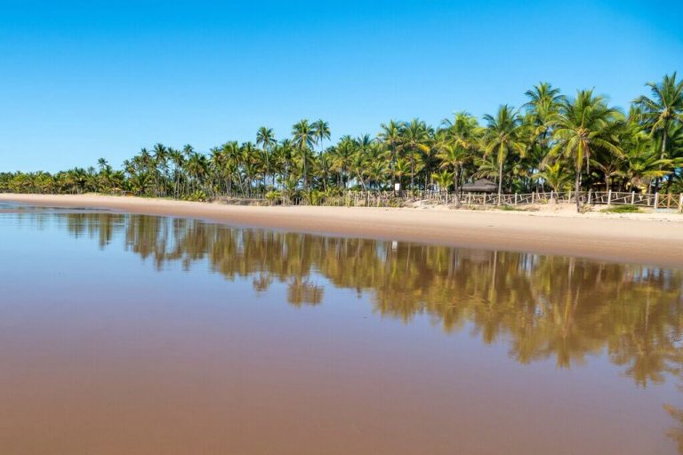21 Best Beaches In Brazil That You Will Absolutely Love